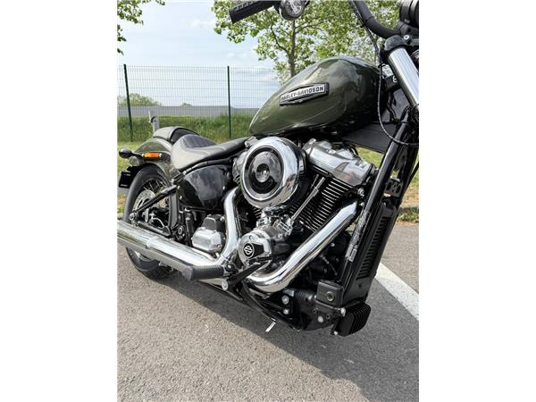 2026 HARLEY-DAVIDSON STREET BOB | View Harley-Davidson Orginal