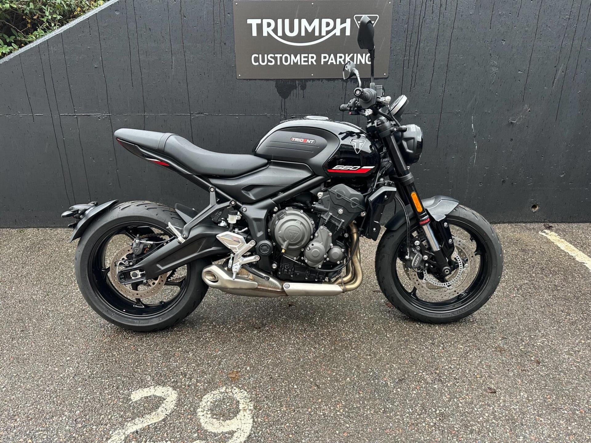 New Triumph Trident 660 | Ocean Group